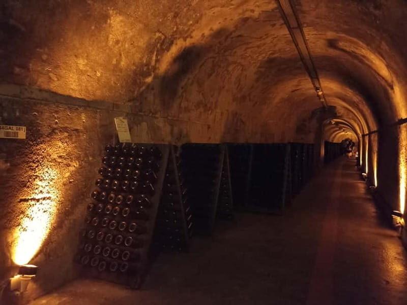 From Paris: Reims Cathedral, Champagne Cellar, and Tasting - Final Thoughts