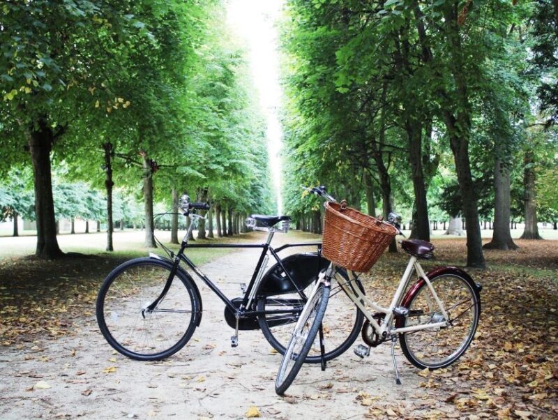 From Paris: Skip-the-Line Palace of Versailles Bike Tour - An Authentic, Active Day Out at Versailles