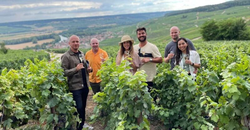 From Paris: Small-Group Champagne Tour with 3-Course Lunch - Who Will Love This Tour?