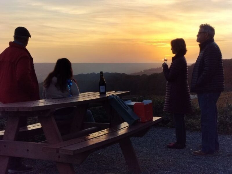 From Paris: Small-Group Champagne Tour with 3-Course Lunch - Frequently Asked Questions
