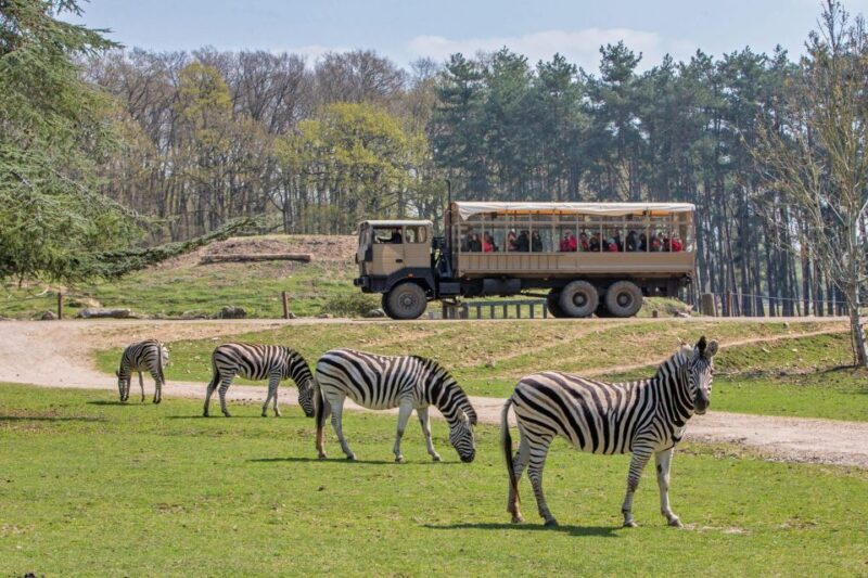From Paris: Thoiry Park Safari and Castle Tour - The Itinerary in Detail