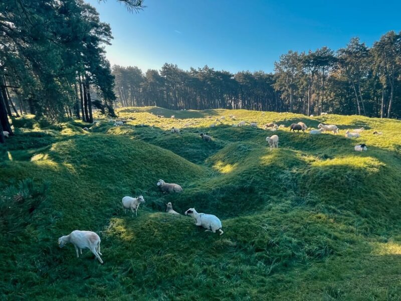 From Paris : WWI Vimy Battlefields - Private Tour - Who Will Love This Tour?