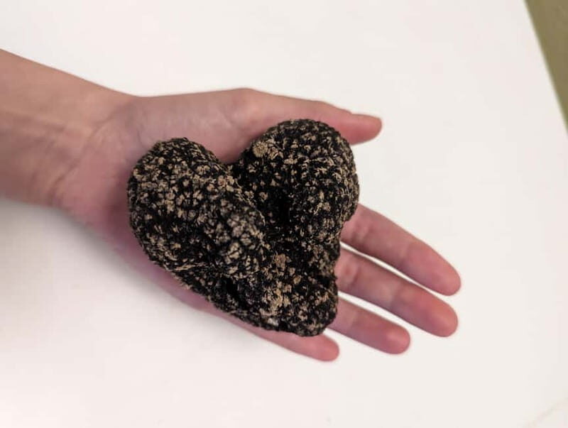 From Parma/Cinque Terre: Truffle Hunting Experience & Lunch - Key Points
