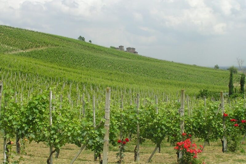 From Parma: Parmesan, Parma Ham & Balsamic Vinegar Tour - Scenic Return & Education