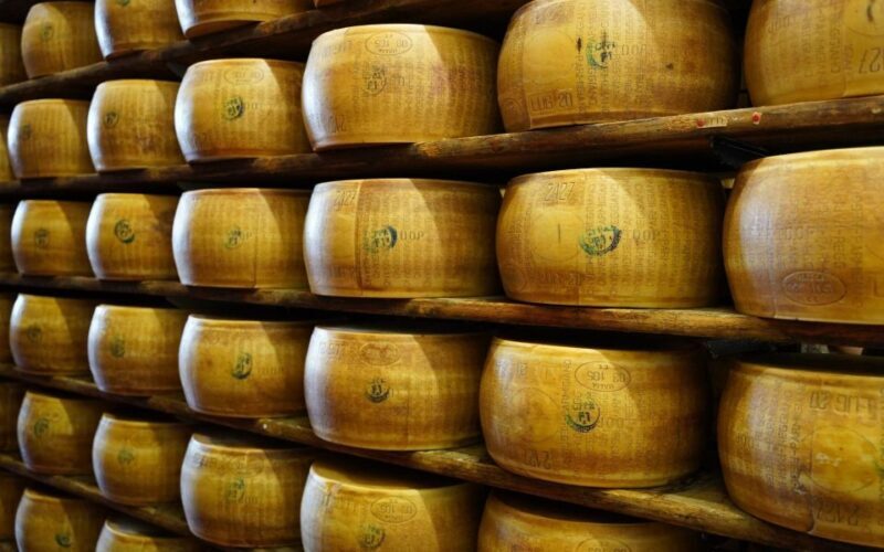 From Parma: Parmigiano and Parma Ham Guided Food Tour - Who Should Consider This Tour?