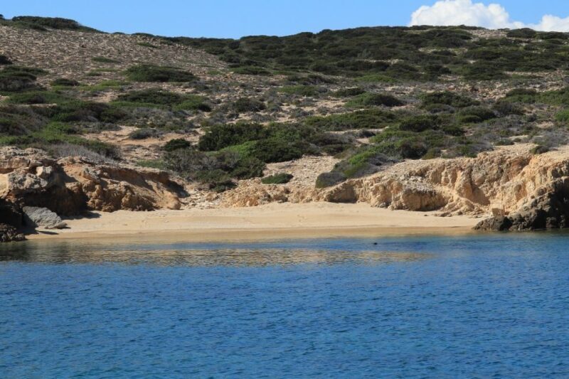 From Paros: Antiparos and Despotiko Full-Day Swim Cruise - What Are the Downsides?