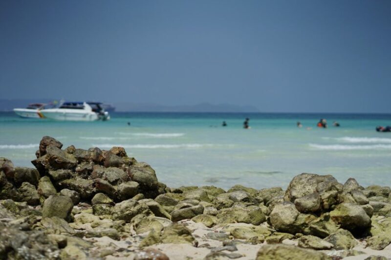 From Pattaya/Bangkok: Island Day Trip with Beach Activities - Authentic Experiences & Real Traveller Opinions