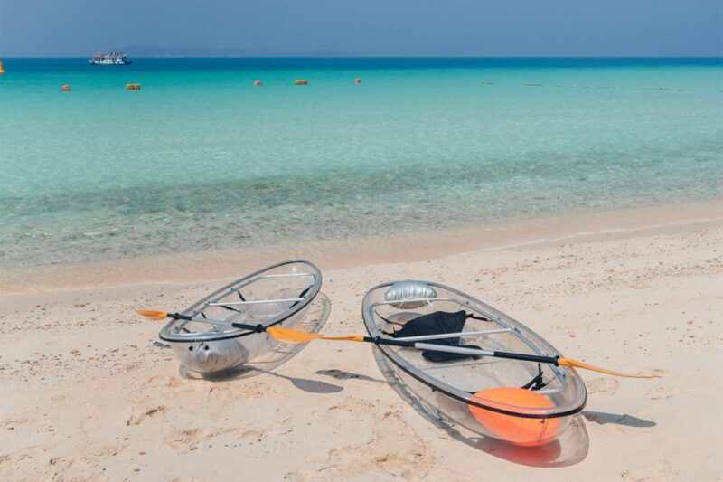From Pattaya/Bangkok: Island Day Trip with Beach Activities - Who Should Book This Tour?