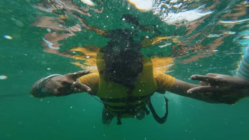 From Pattaya: Coral Island Sea Adventure Trip - From Pattaya: Coral Island Sea Adventure Trip — A Complete Guide