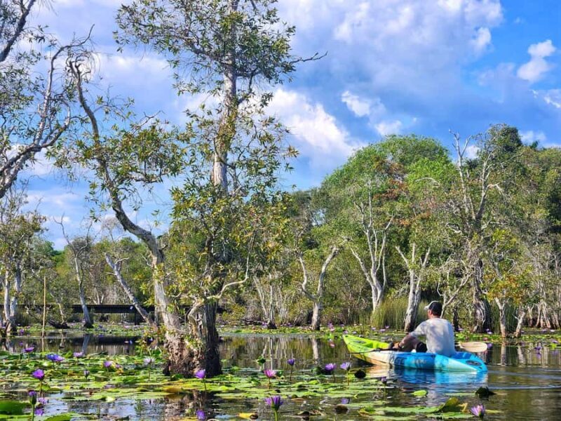 From Pattaya: Rayong Adventure Hike and Kayak Day Trip - Exploring the Day: What to Expect on This Adventure