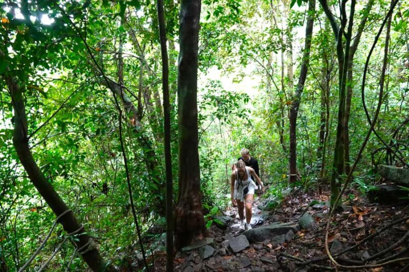 From Pattaya: Rayong Adventure Hike and Kayak Day Trip - Who Will Love This Tour?