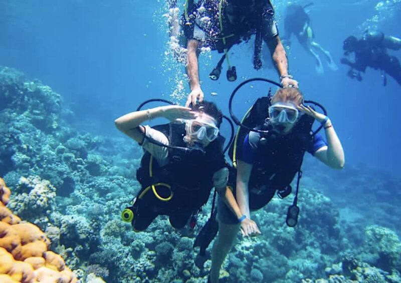 From Pattaya: Snorkeling or Beginner Scuba Diving Tour - Final Thoughts