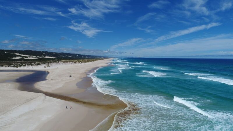 From Pemberton: Half-Day Beach and Forest Eco Adventure - Picnic Lunch and Conservation Efforts