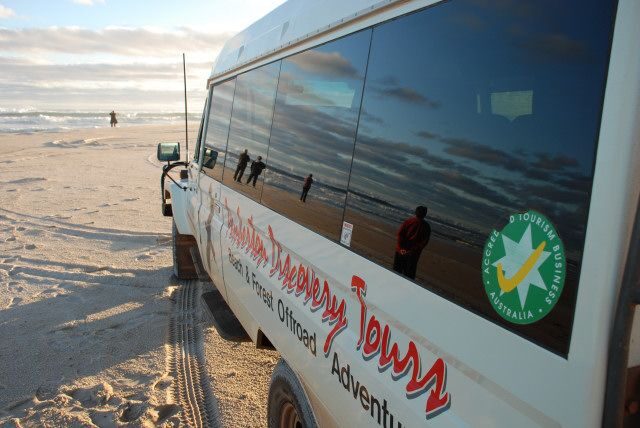 From Pemberton: Half-Day Beach and Forest Eco Adventure - Practical Details and Considerations