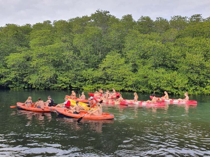 From Penida: Lembongan Tour with Kayaking & Buffet Lunch - Key Points