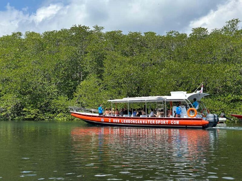 From Penida: Snorkeling with Lembongan Tour & Buffet Lunch - Additional Snorkel Spots
