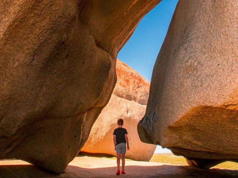 From Penneshaw: Kangaroo Island Sights and Wildlife Tour - Practical Considerations and Tips