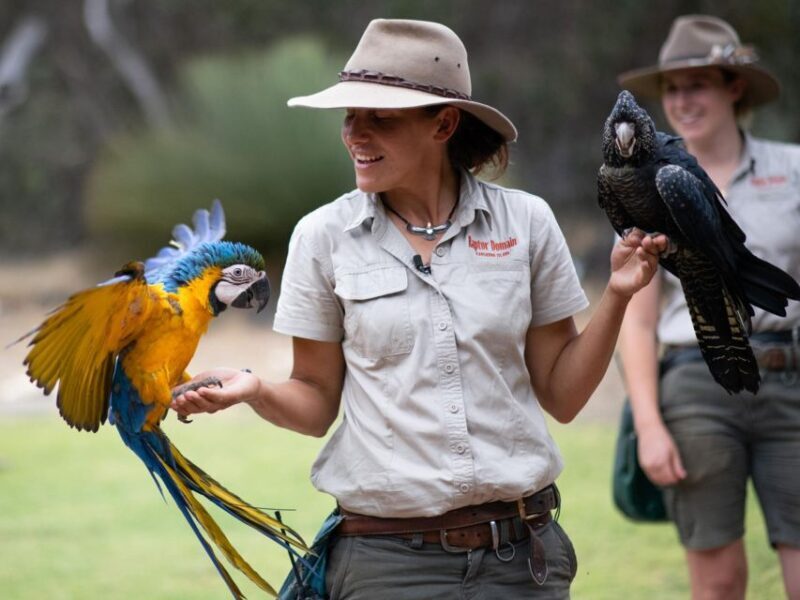 From Penneshaw: Kangaroo Island Sights and Wildlife Tour - Authenticity and Value
