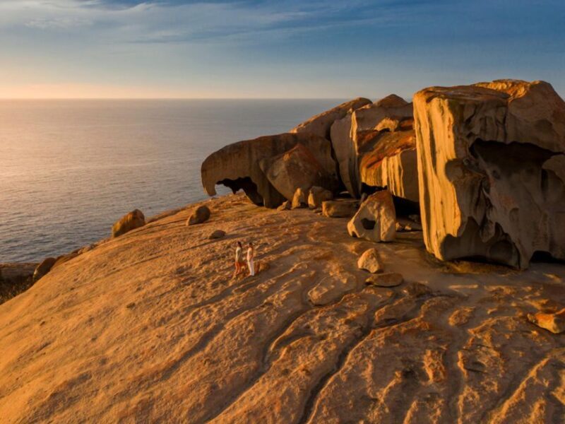 From Penneshaw: Kangaroo Island Sights and Wildlife Tour - Who Should Consider This Tour?