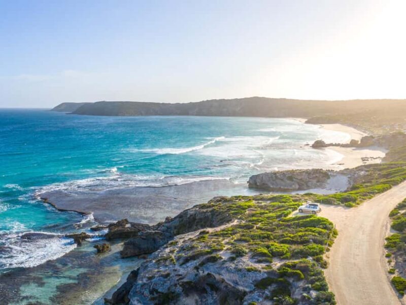 From Penneshaw: Kangaroo Island Wildlife Encounter - Final Thoughts: Is It Worth It?