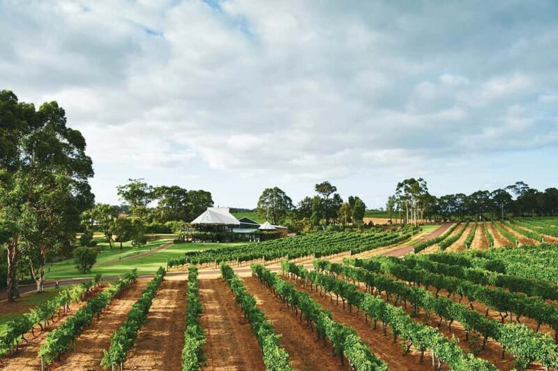 From Perth: Full-Day Margaret River Wine Tastings & Lunch - Who Will Love This Tour?