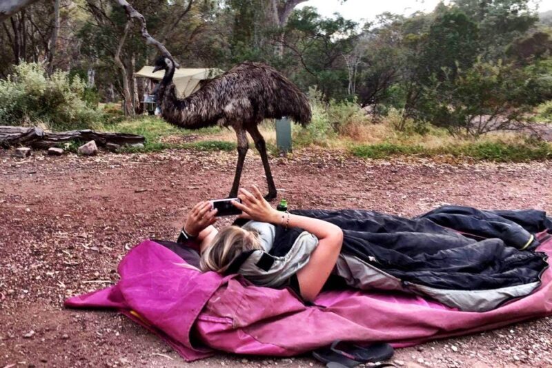 From Perth: Margaret River to Esperance 6-Day Tour - FAQ