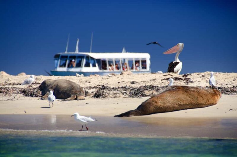 From Perth: Margaret River Wine Tour & Wildlife Cruise - Key Points