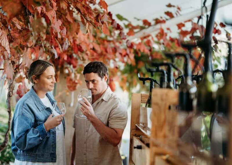 From Perth: Margaret River Wine Tour & Wildlife Cruise - An Honest Look at the Tour