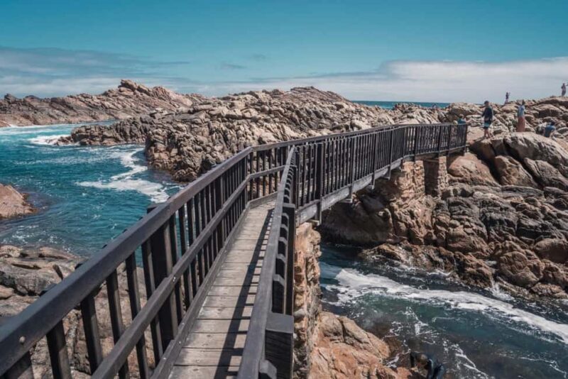 From Perth: Margaret River Wine Tour & Wildlife Cruise - Itinerary Deep Dive: What’s in Store?