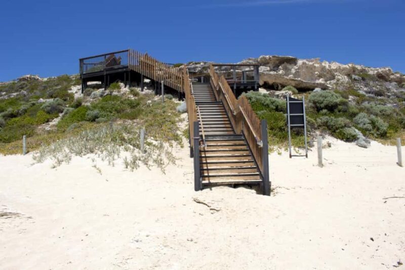 From Perth: Margaret River Wine Tour & Wildlife Cruise - Authentic, Practical Tips