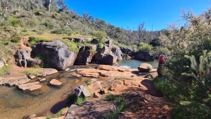 From Perth or Baldivis: Perth Hills Hike, Wine & Dine Tour - The Sum Up
