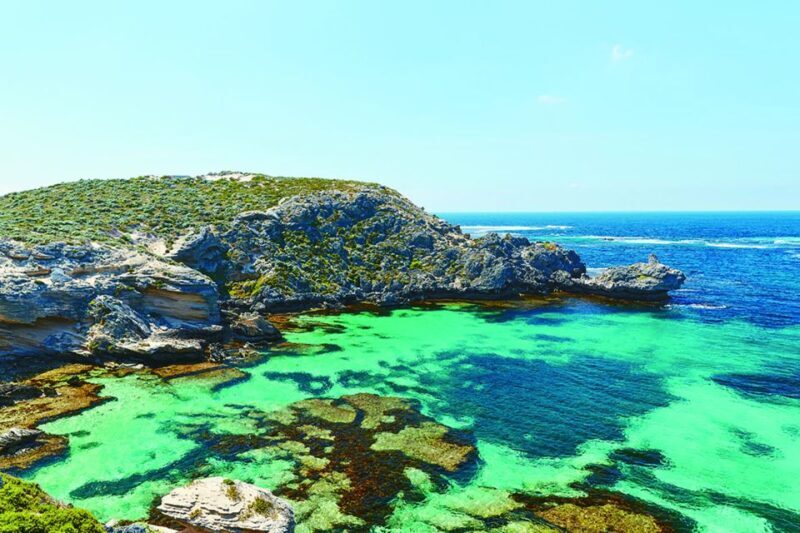 From Perth or Fremantle: Rottnest Island Seafood Cruise - A Scenic Voyage with a Gourmet Twist