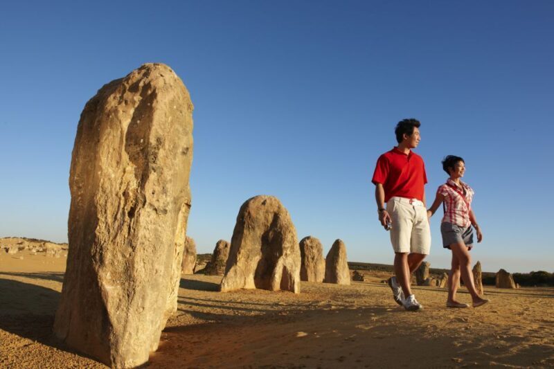 From Perth: Pinnacles Desert, Yanchep & Swan Valley Day Tour - Key Points
