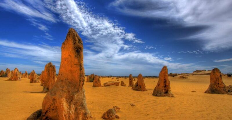 From Perth: Pinnacles Desert, Yanchep & Swan Valley Day Tour - An In-Depth Look at the Tour Experience
