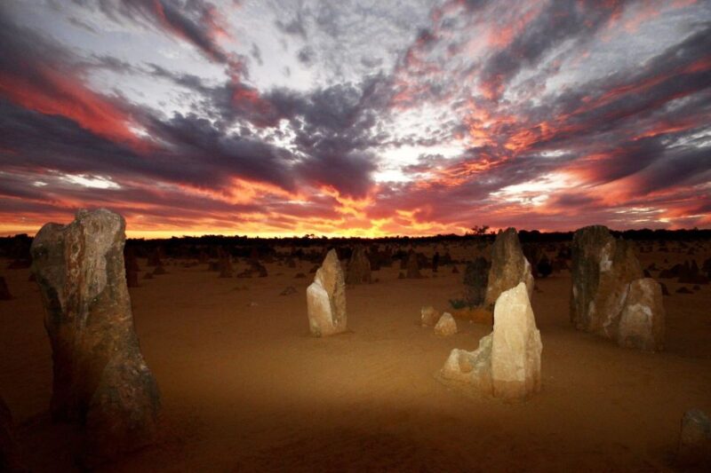 From Perth: Pinnacles Sunset and Stargazing Tour with Dinner - Practical Aspects of the Tour