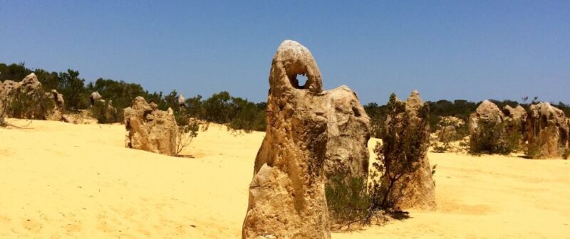 From Perth: Pinnacles Tour, Early Start, Avoid Crowds & Heat - A Closer Look at the Pinnacles Tour from Perth