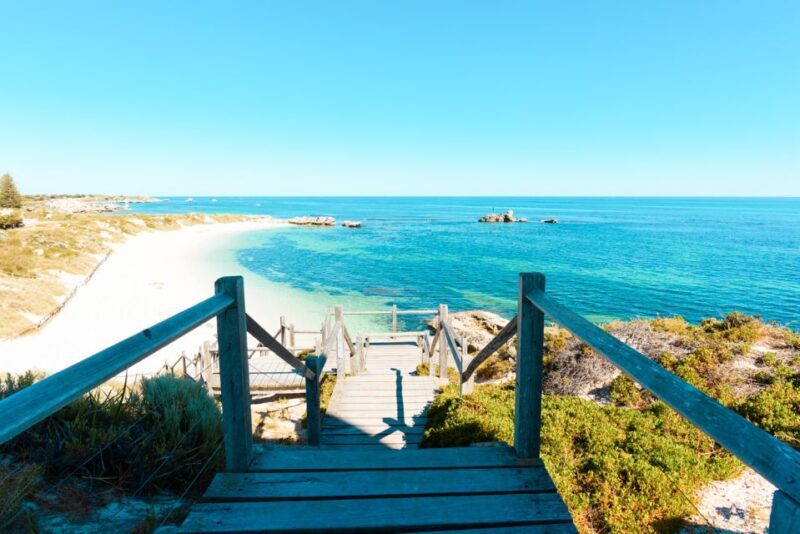 From Perth: Rottnest Island Ferry & Bike Trip - Authentic Feedback from Past Travelers