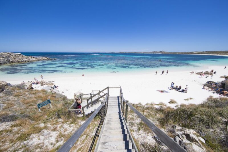 From Perth: Rottnest Island Grand Island Day Tour with Lunch - Who Would Love This Tour?