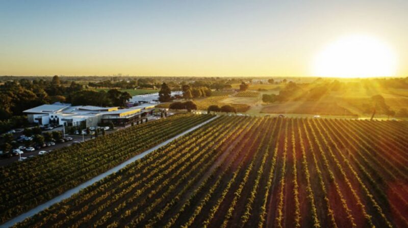 From Perth: Swan Valley Cruise, Winery, Cheese & Lunch - Final Thoughts