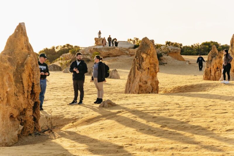 From Perth: The Pinnacles Desert Sunset and Star-Gazing Tour - Who This Tour Is Best For