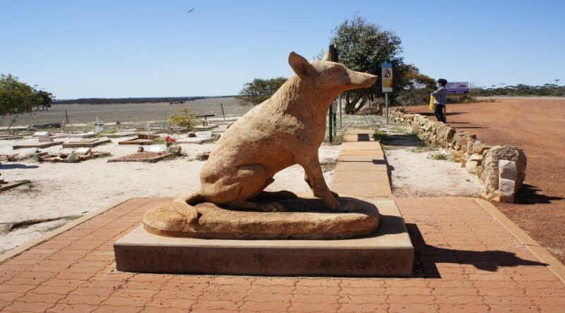 From Perth: Wave Rock and York Cultural Tour with a Guide - Introduction: Is this Perth Day Trip Worth It?