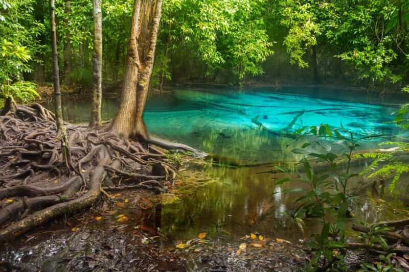 From Phi Phi: Day Tour to Krabi with Transfers & Private Car - FAQ