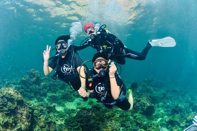 From Phi Phi Don | Half Day Discover Scuba Diving 2 Dives - An In-Depth Look at the Experience