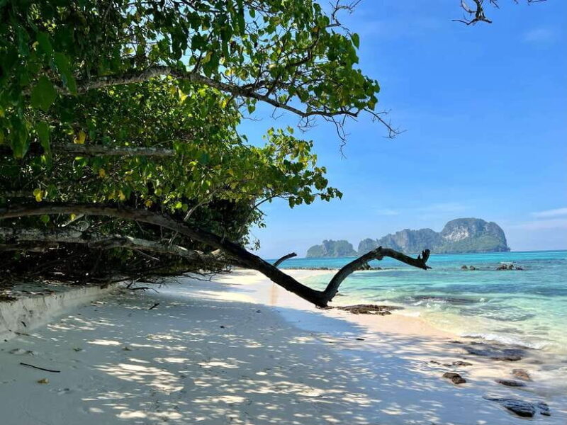 From Phi Phi: Full Day 7 Island Tour by Longtail with Sunset - An In-Depth Look at the Tour Experience