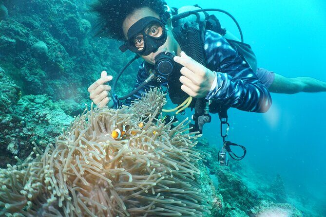 From Phi Phi: Half Day Discover Scuba (2 Dives) - Practical Details & Tips