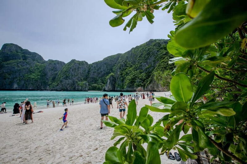 From Phi Phi: Half-Day Longtail Boat Tour to Maya Bay - Key Points