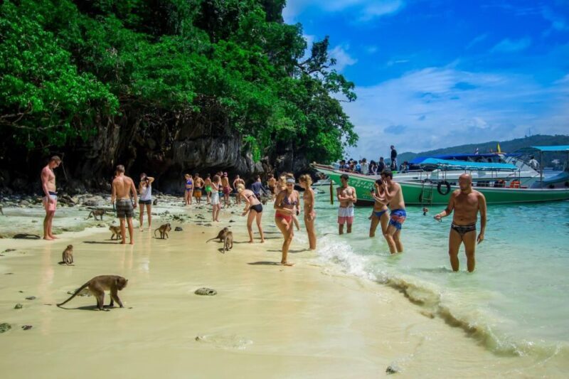 From Phi Phi: Half-Day Longtail Boat Tour with Snorkeling - Key Points