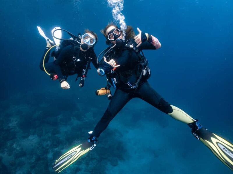 From Phi Phi: Half-Day Trip for Certified Divers (2 Dives) - Real Traveler Insights