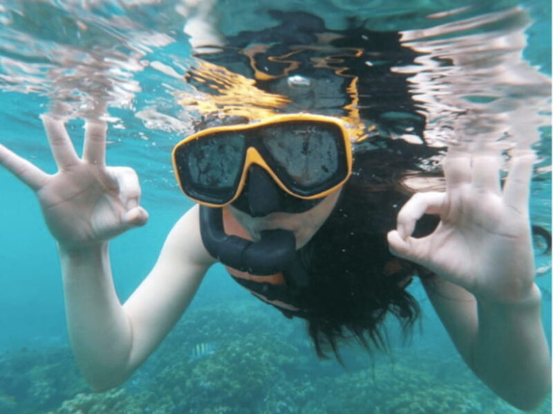 From Phi Phi islands: Phi Phi, Maya Area by longtail Boat - Practical Details for Travelers