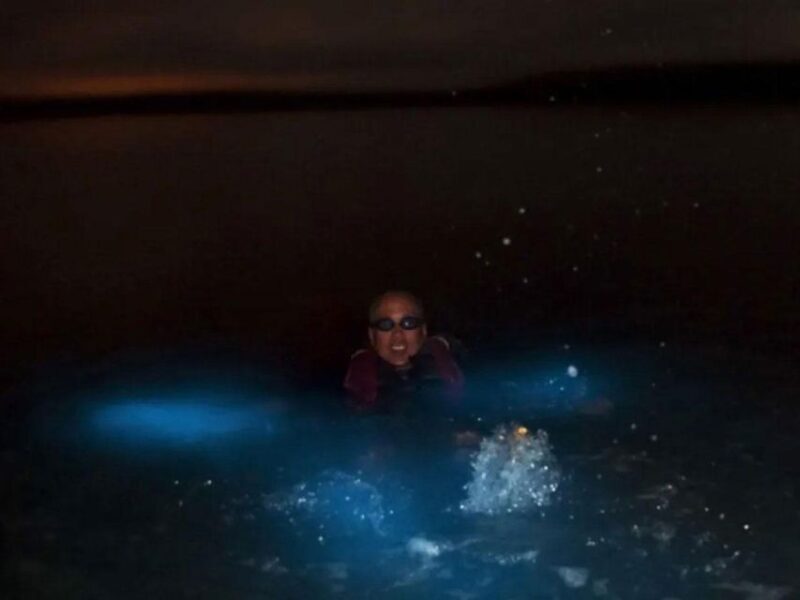 From Phi Phi: Sunset & Bioluminescent Plankton Snorkel Tour - The Itinerary: What to Expect on the Tour